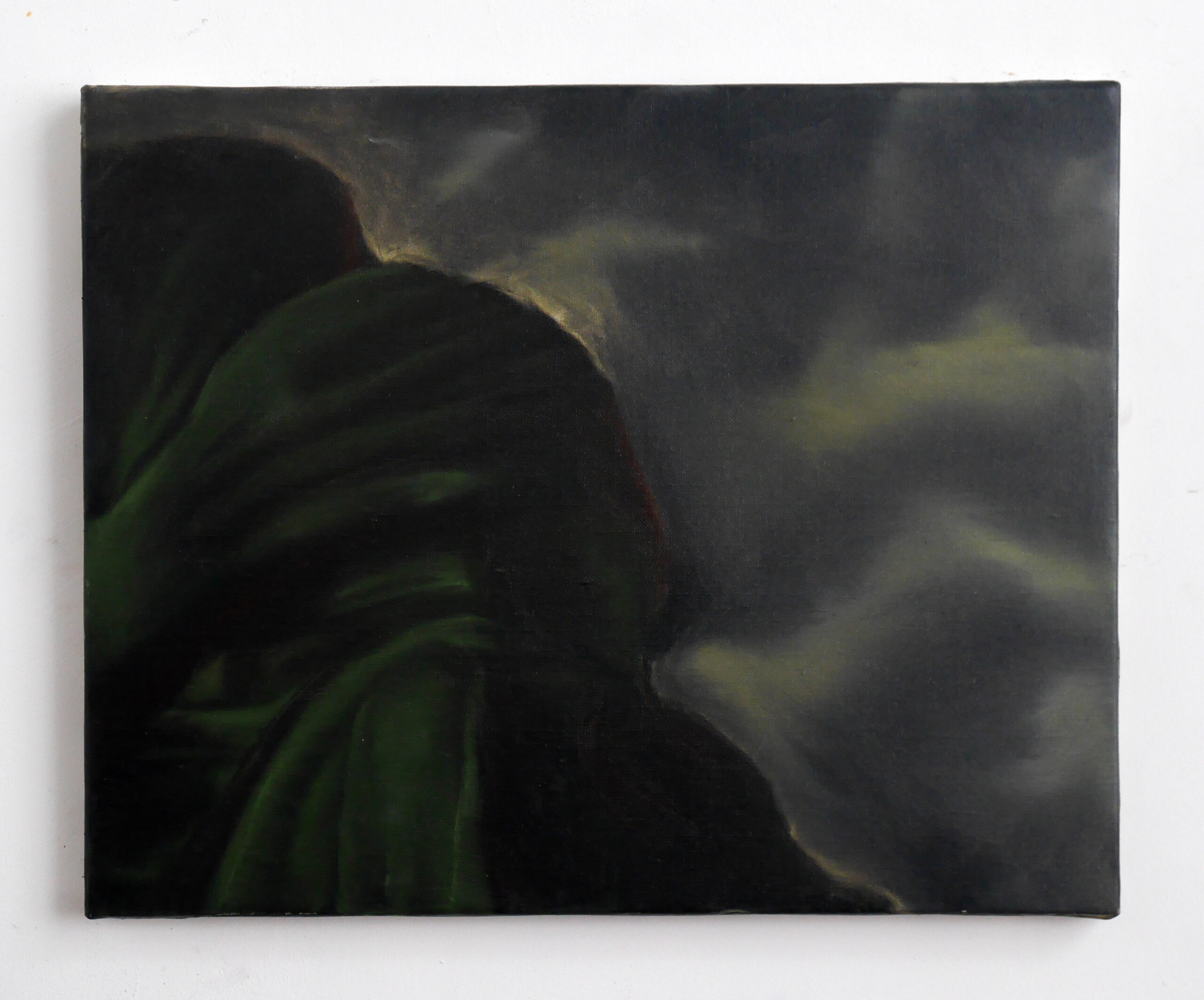 Aquí se llevan todo - Alice Vasseur